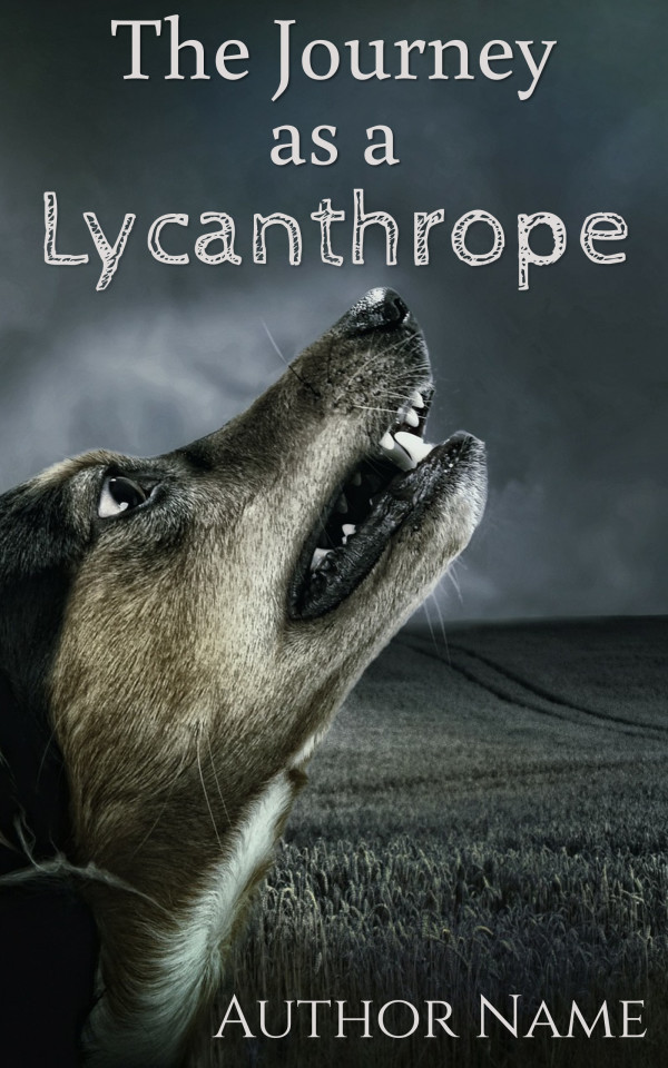 How to Design a Book Cover for Ebooks and More | Stencil