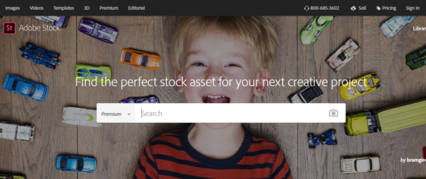17 Best Free and Premium Stock Photo Sites in 2020