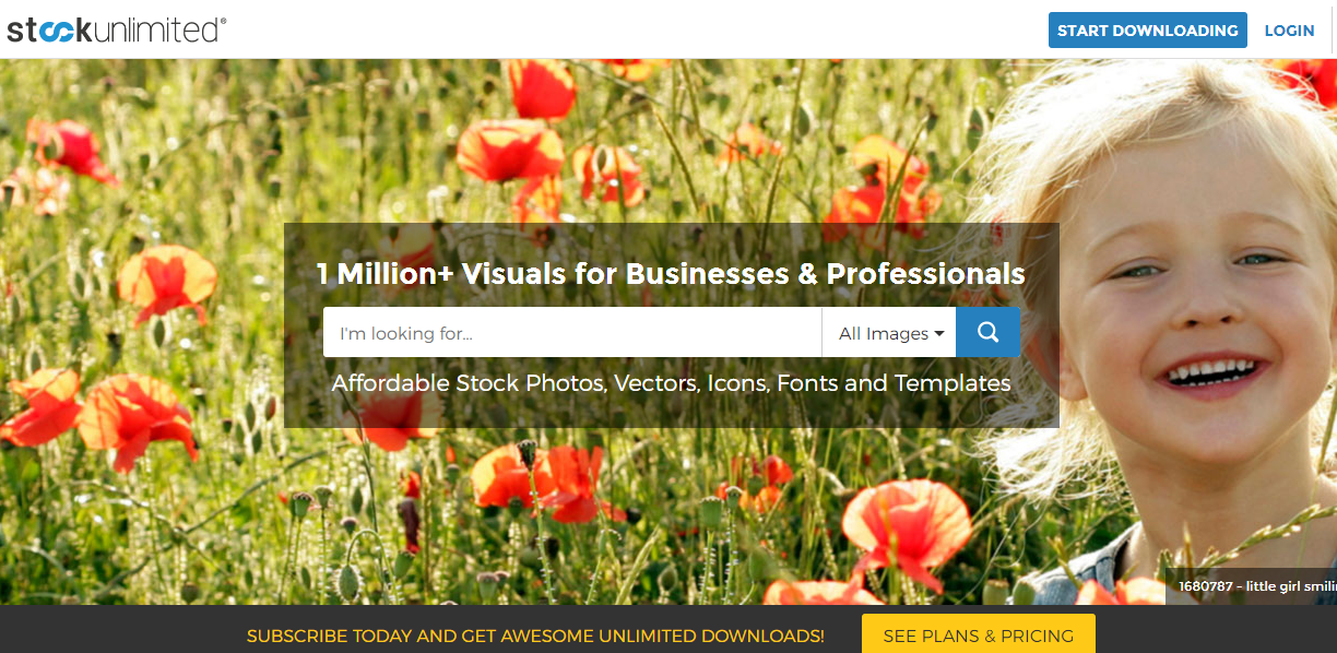 17 Best Free and Premium Stock Photo Sites in 2020